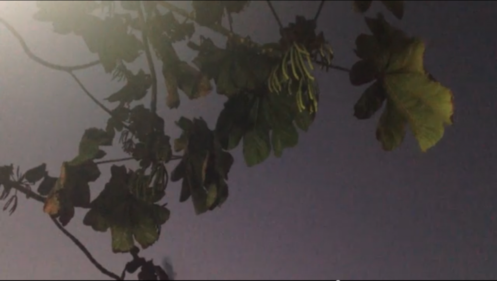 JJA – Jerry Arsenault – Whatever the hell I feel like sharing